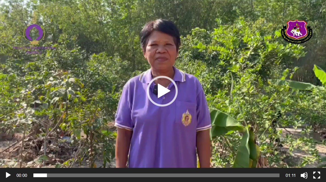 video Children and Youth Development-ENG – HRH Projects